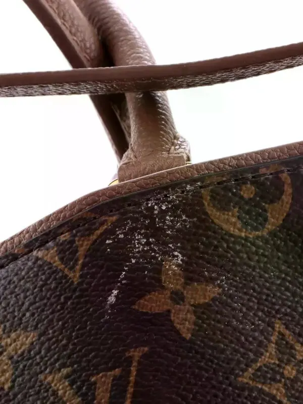 LOUIS VUITTON Popincourt Nm Handbag Monogram Canvas With Leather Pm Tote Bag - Brown