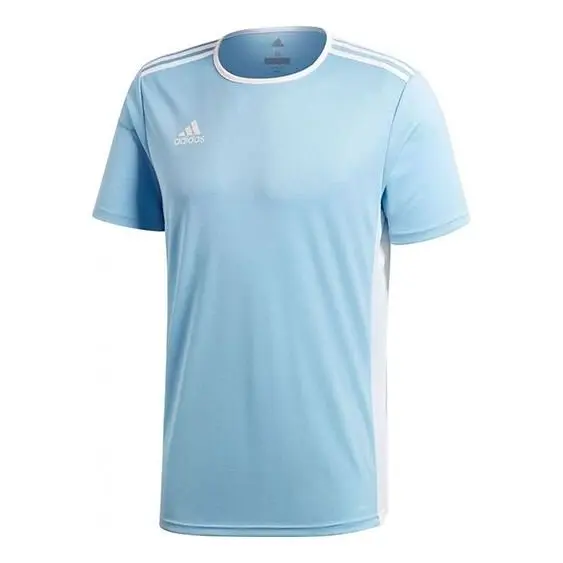 Adidas Entrada 18 Training Short Sleeve Tee - Blue/white