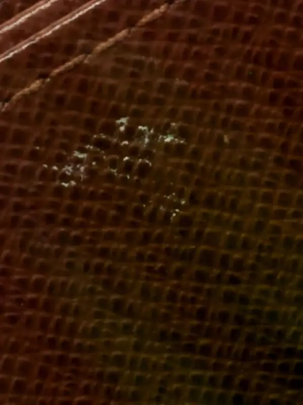LOUIS VUITTON Zippy Monogram Wallet