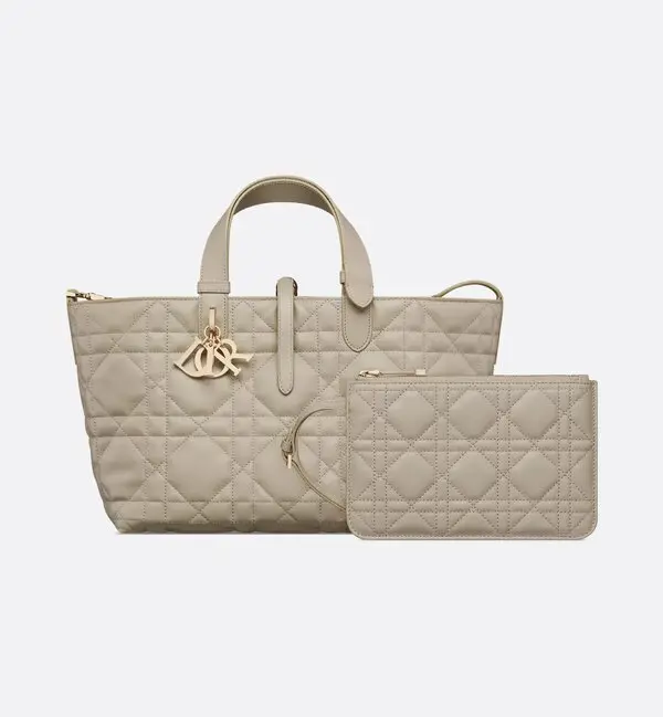 Dior Medium Toujours Bag