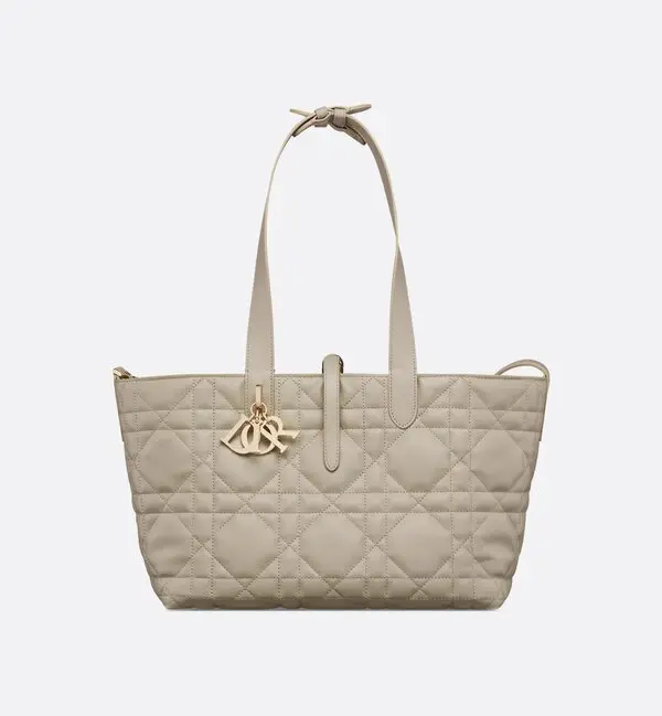 Dior Medium Toujours Bag