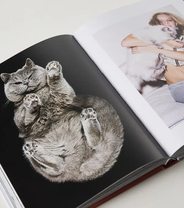 Assouline Chic Cats Book