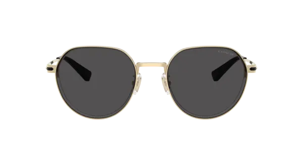 COACH Sunglass Cae81