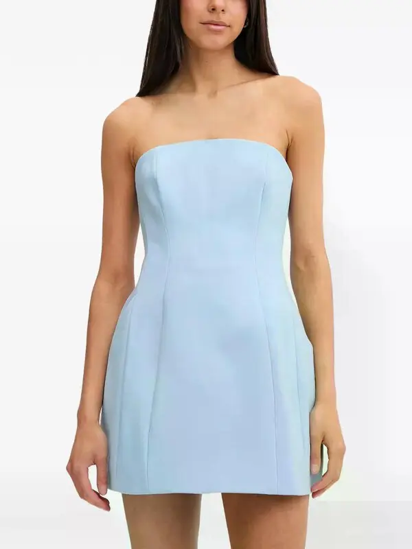Bardot Strapless Panelled Mini Dress - Blue