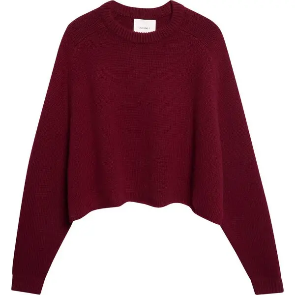 LISA YANG Oversize Raglan Sleeve Cashmere Sweater - Deep Plum