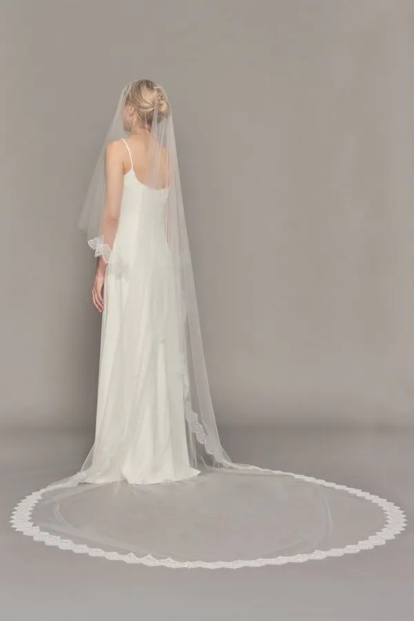 Tadashi Shoji Cathedral Length Veil With Floral Embroidery