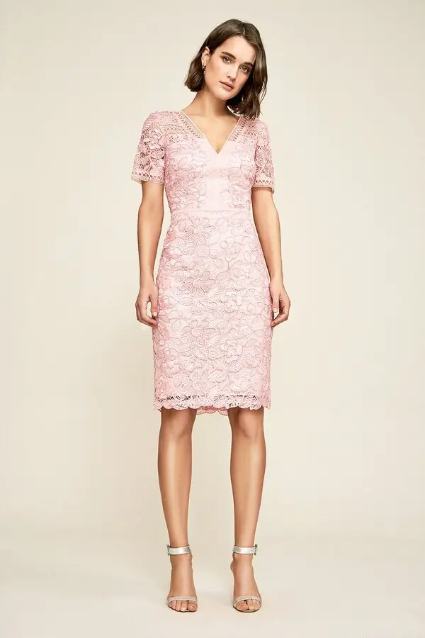 Tadashi Shoji Katelyn Lace Dress - Black/nude