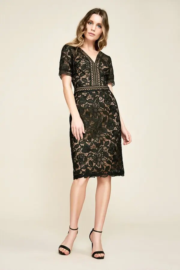Tadashi Shoji Katelyn Lace Dress - Black/nude