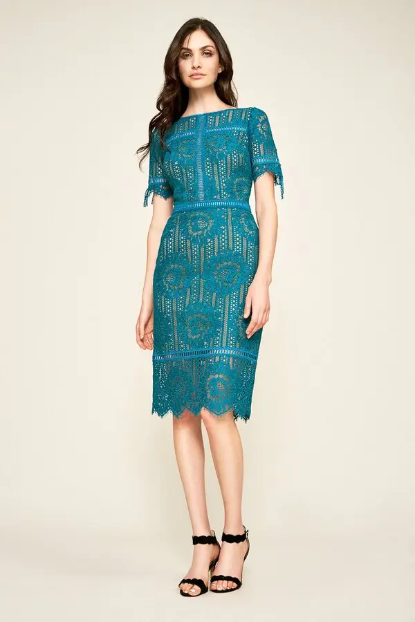 Tadashi Shoji Suma Lace Dress - Black/nude
