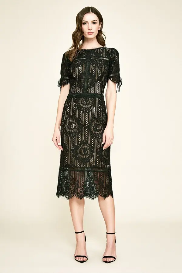 Tadashi Shoji Suma Lace Dress - Black/nude