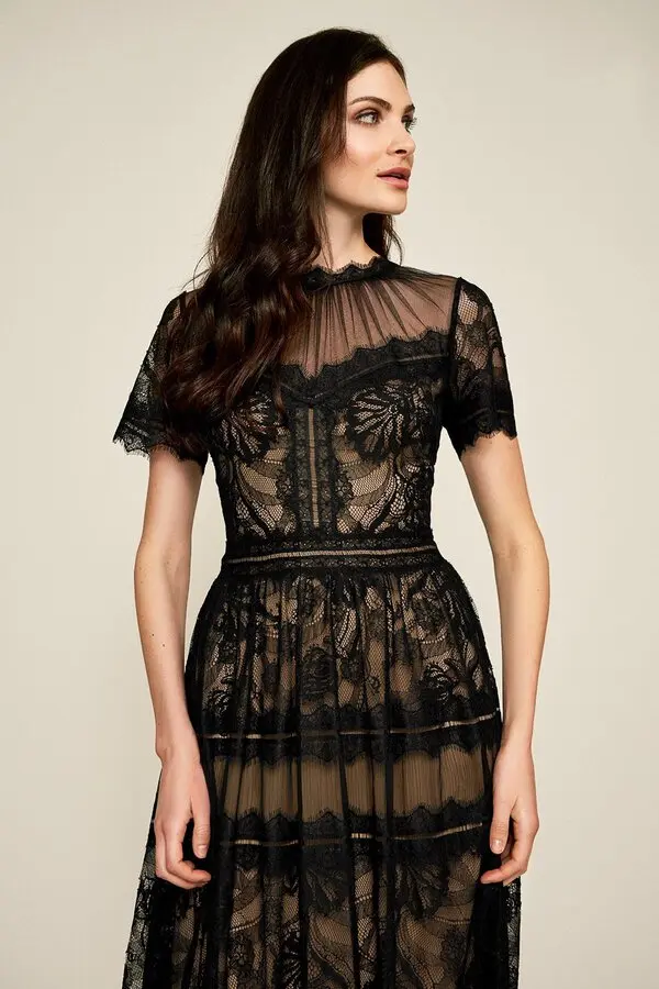 Tadashi Shoji Camilla Lace Gown - Black/nude