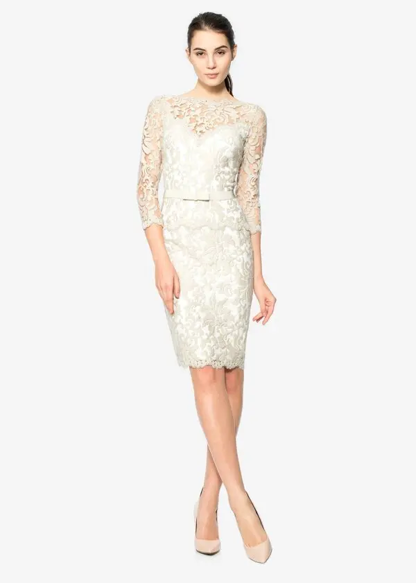 Tadashi Shoji Illusion Lace Three-quarter Sleeve Dress Petite - Feather