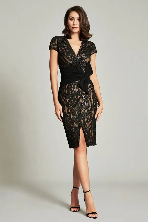 Tadashi Shoji Hitomi Embroidered Tulle Dress - Black/nude