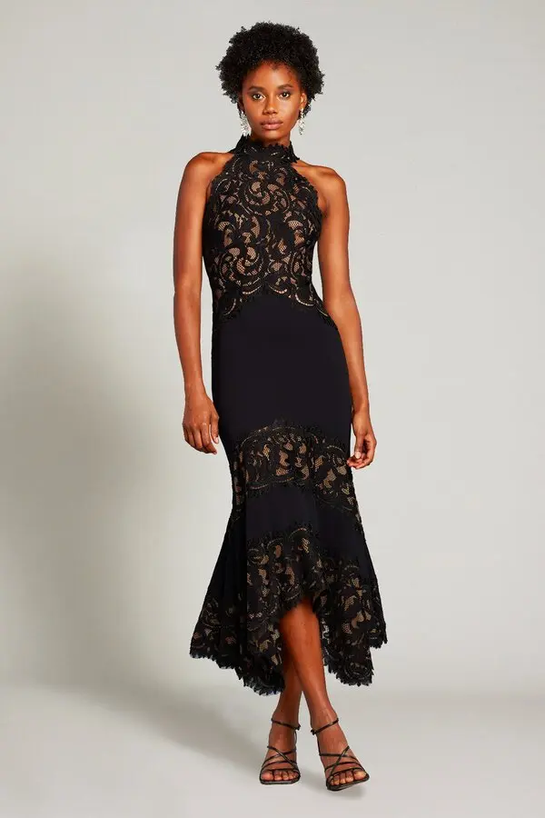 Tadashi Shoji Erva Lace Halter High-low Dress - Black/nude