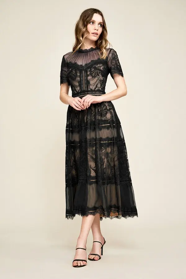 Tadashi Shoji Lace Tea-length Dress With Detachable Lining - Black/nude