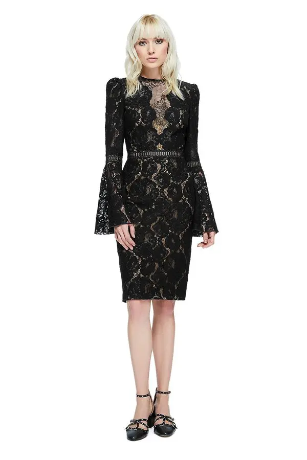 Tadashi Shoji Olivier Dress - Black/nude