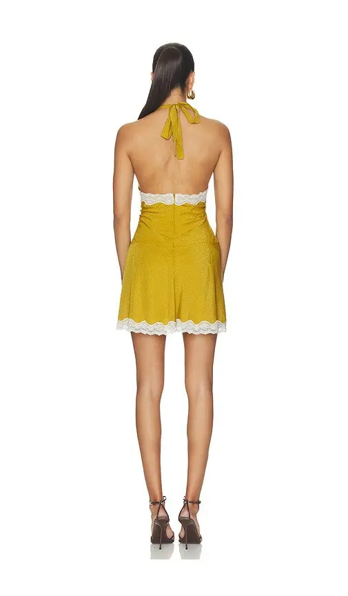 Steve Madden Liza Halterneck Dress