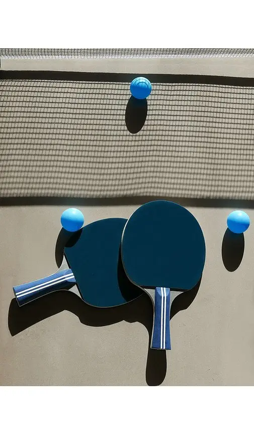 PRINTWORKS Ping Pong Portable Table Tennis