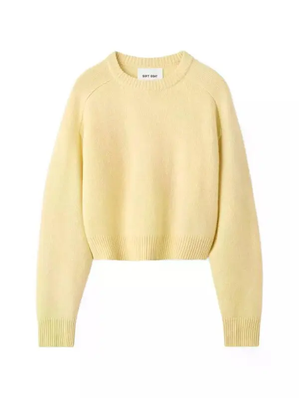 Soft Goat Cashmere Raglan-sleeve Knitwear - Yellow