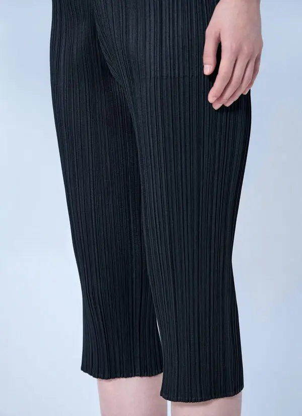 Issey Miyake Mid Rise Pleated Cropped Trousers