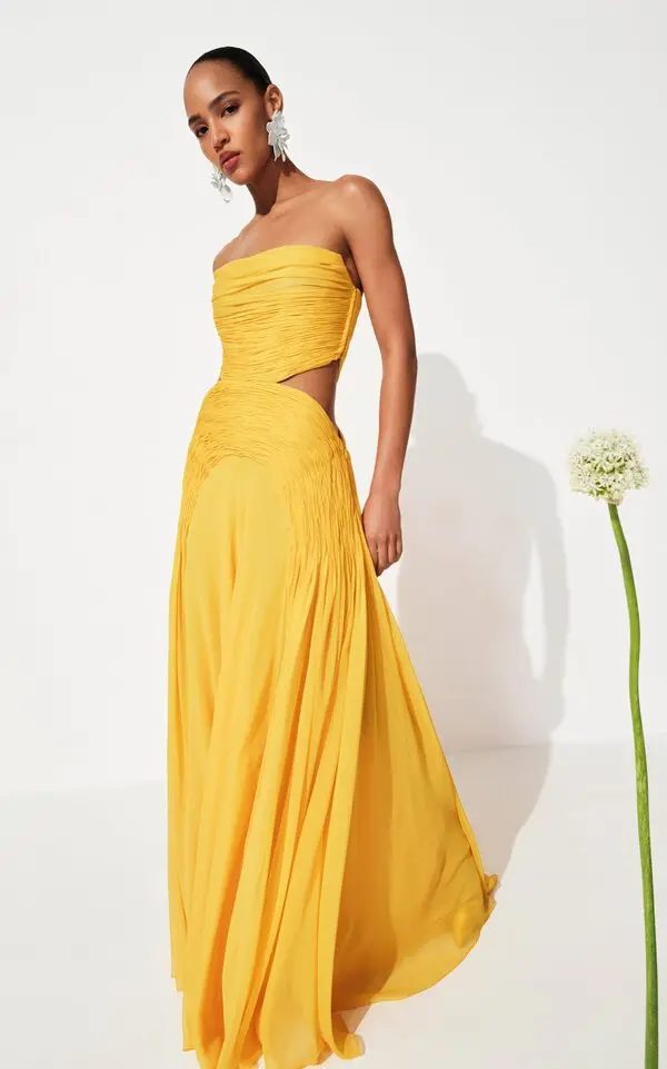 Carolina Herrera Strapless Silk Chiffon Gown