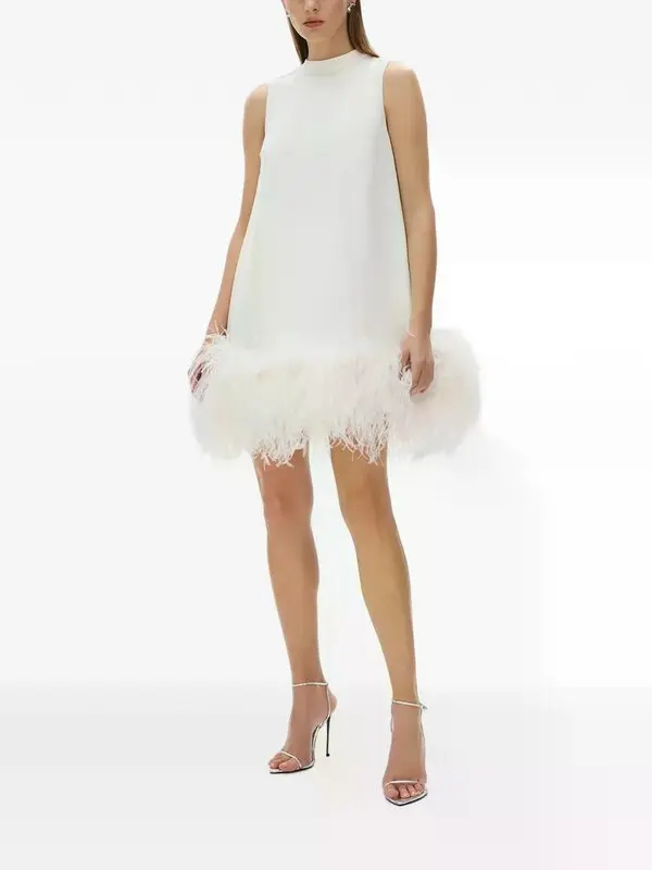 Rachel Gilbert Feather-trim Mini Dress