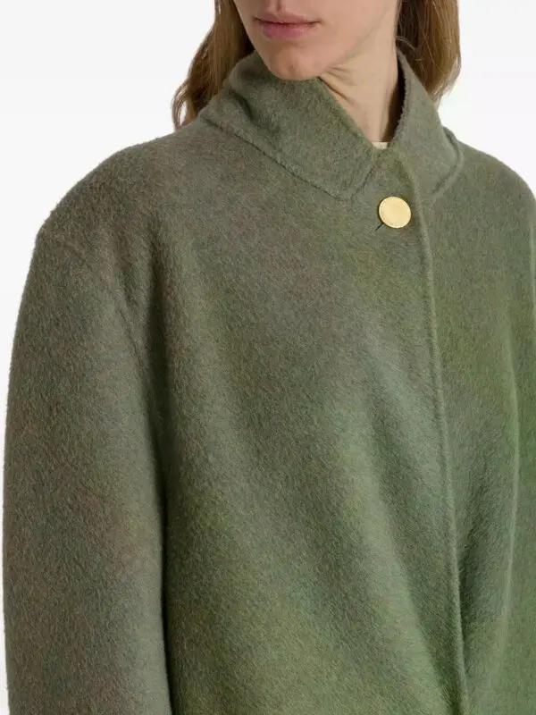Alberta Ferretti Notched Lapel Button-up Coat