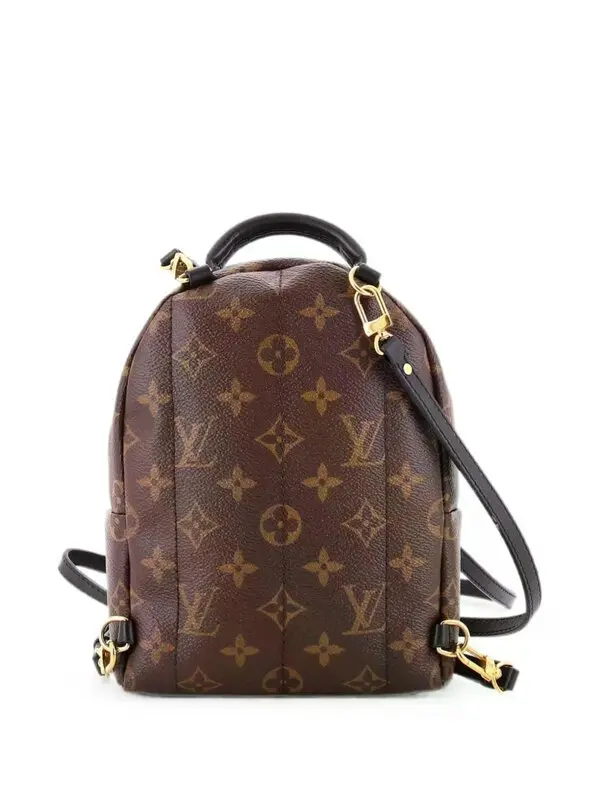 LOUIS VUITTON Palm Springs Mini Backpack - Brown