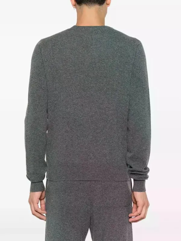 Extreme Cashmere Crew Neck Long Sleeve Sweater