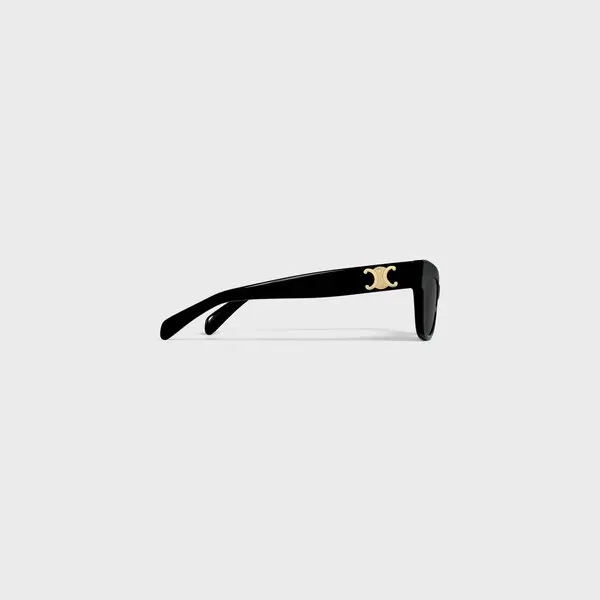 Celine Triomphe 19 Sunglasses In Acetate