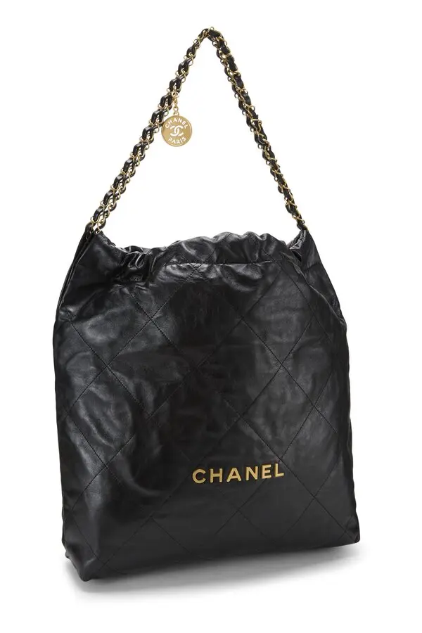 Chanel Calfskin 22