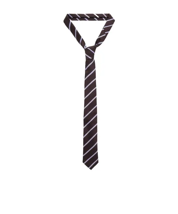 THE FRANKIE SHOP Striped Tie
