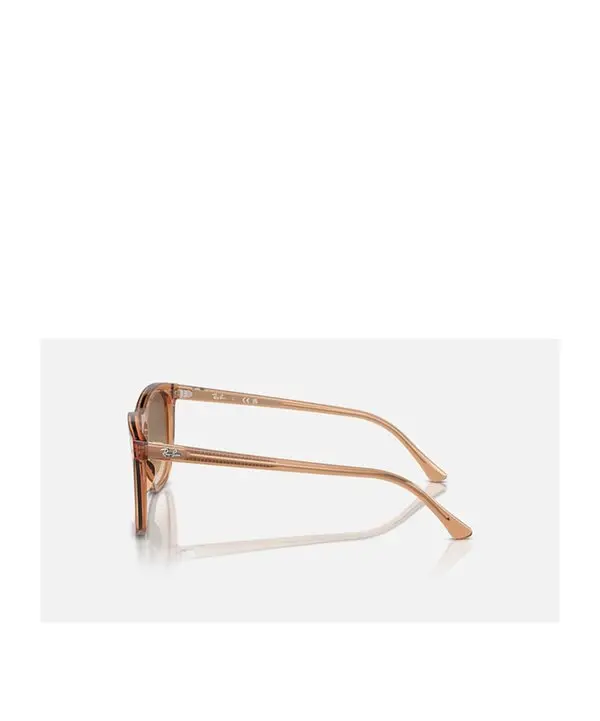 Ray-ban Square-frame Sunglasses