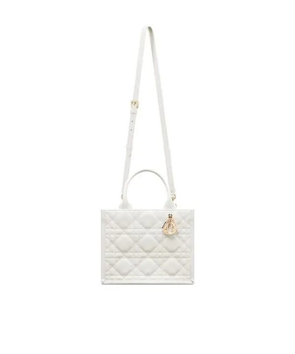 Dior Small Book Tote