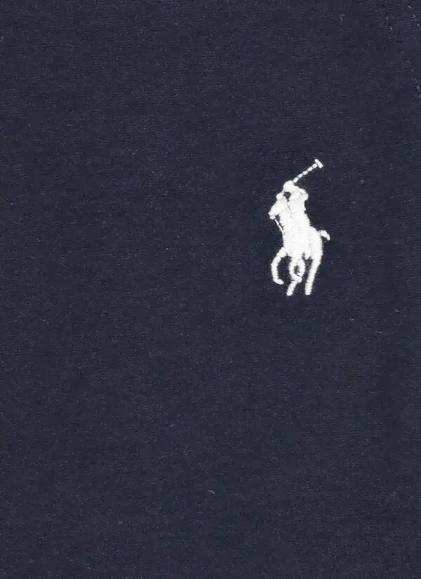 Polo Ralph Lauren Pony Embroidered Drawstring Shorts