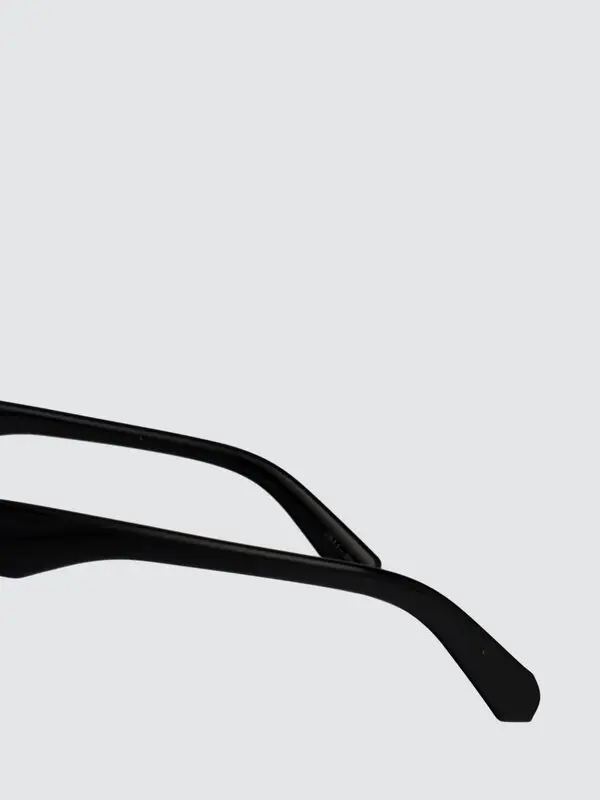 Calvin Klein Acetate Cat-eye Sunglasses With Monogram