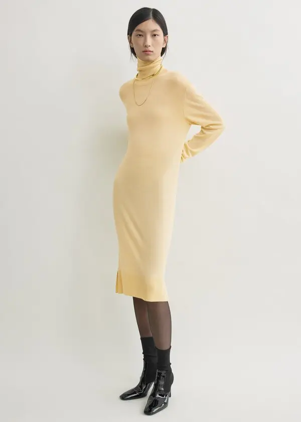 TOTEME Turtleneck Dress Petite