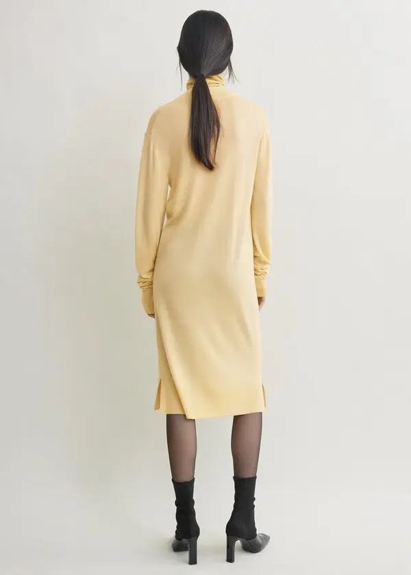 TOTEME Turtleneck Dress Petite