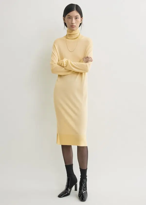 TOTEME Turtleneck Dress Petite