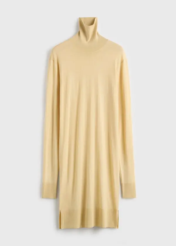 TOTEME Turtleneck Dress Petite
