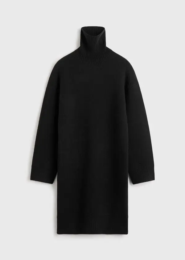 TOTEME Broad Turtleneck Dress