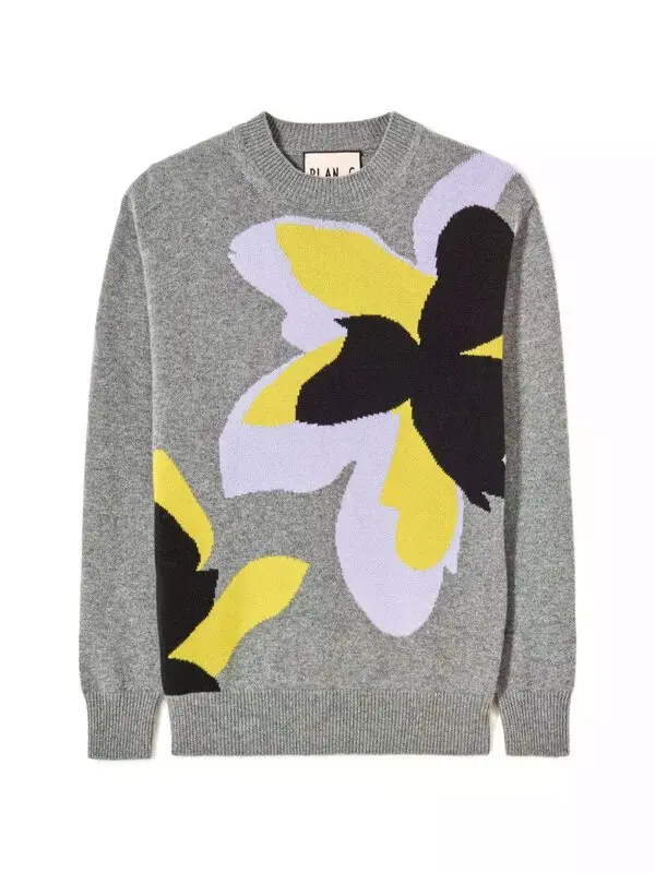 Plan C Intarsia Knit Sweater