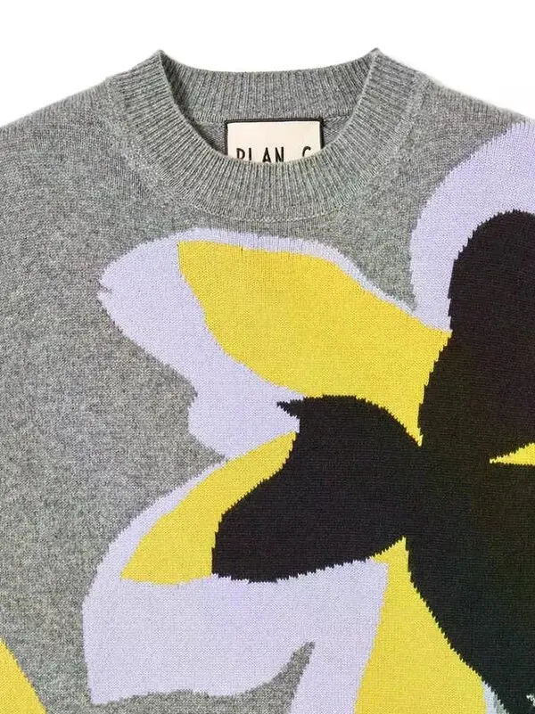 Plan C Intarsia Knit Sweater