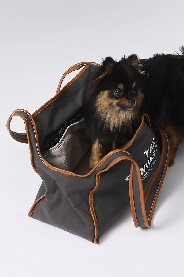 PETS SO GOOD The Canvas Pet Carrier Bag - Charcoal