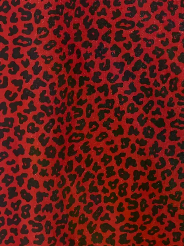 Dior Leopard-print Chiffon Midi Skirt