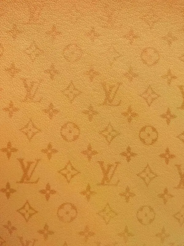 LOUIS VUITTON Monogram Fortune Cookie Pouch Bag