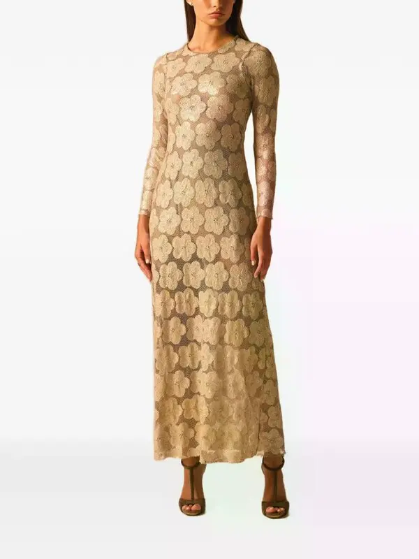 JBQ Petra Floral-lace Long-sleeve Maxi Dress - Neutrals