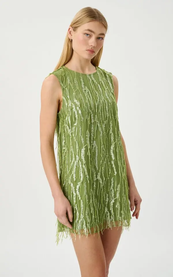 ROAME Eloise Sequin Mini Dress