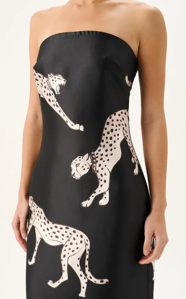 ROAME Pasca Cheetahl Strapless Maxi Dress