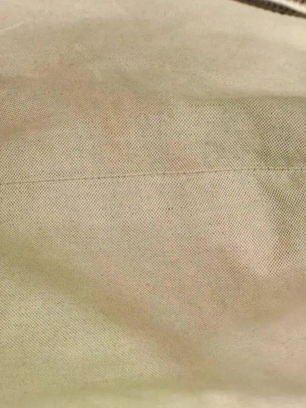 Gucci Ophidia Half Moon Hobo Bag
